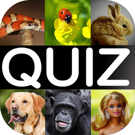 What is it? the funny picture quiz game!游戏介绍 - TapTap