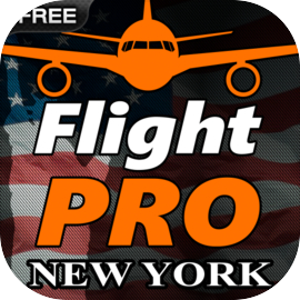 Pro Flight Simulator NY Free - TapTap