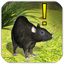 Home Rat simulator - TapTap