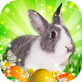 Hidden Object: Easter Egg Hunt - TapTap