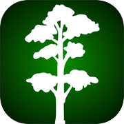 Reforest Rainforest - TapTap