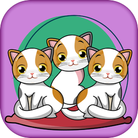 Cat Box Ride - TapTap