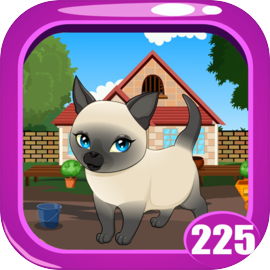 Tonkinese Cat Rescue Game Kavi - 225 - TapTap