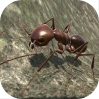 Ant Simulation 3D - TapTap