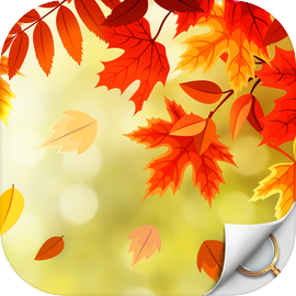 Hidden Object - Autumn Garden游戏介绍 - TapTap