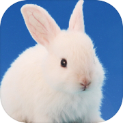 rabbit breeding game - TapTap