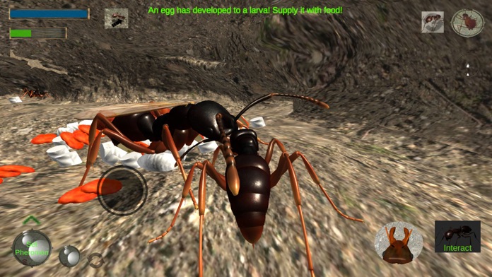 Ant Simulation Full - TapTap