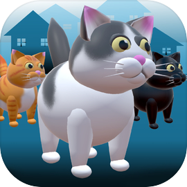 Kitten Chaos: Zoomy Time - TapTap