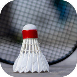 Badminton 2D - TapTap