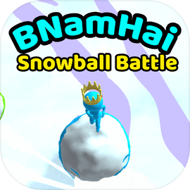BNamHai Snowball Battle - TapTap